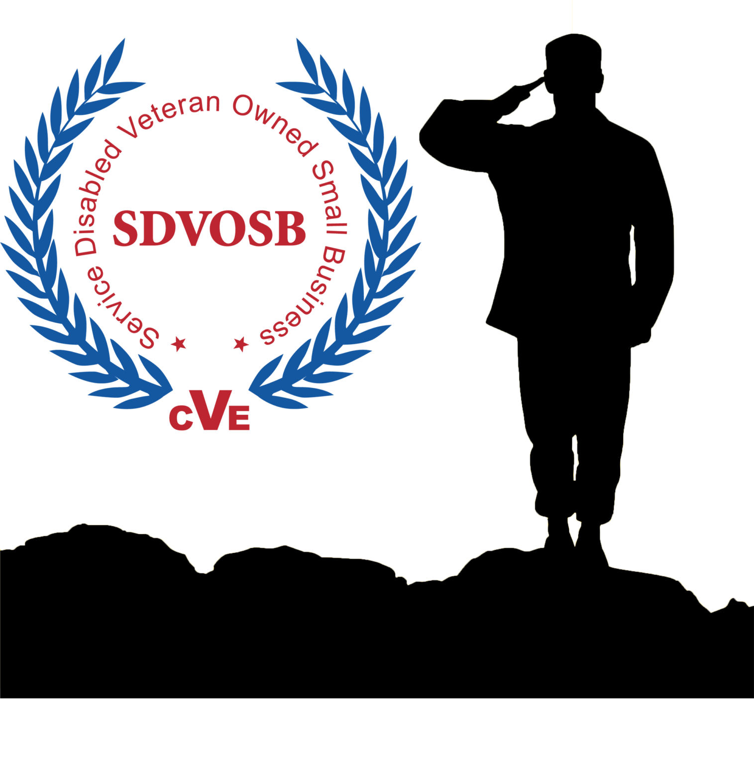 SDVOSB - Dynamic Solutions Technology